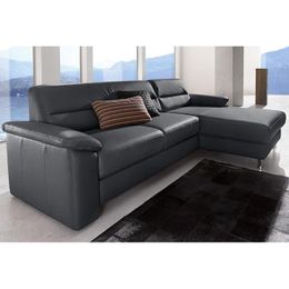 Sit & More sit&more Ecksofa &raquo;Ascara L-Form&laquo; inklusive Boxspring/Federkern-Polsterung, wahlweise mit Schlaffunktion schwarz NaturLEDER (echtes Rindsleder), Korpus