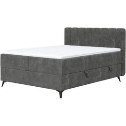COTTA Boxbett &raquo;Vicky inkl. Bettkasten&laquo; erh&auml;ltlich in den Breiten 160x200cm & 180x200cm 92% POLYESTER (PES);8% POLYAMID (PA) Struktur weich inkl. 