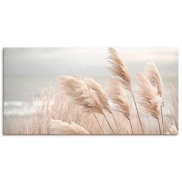 Artland Wandbild &raquo;Pampasgras in einer zarten Brise&laquo; Gr&auml;ser 1 Stk. tlg. als Alubild, Leinwandbild, Poster, Wandaufkleber in verschied. Gr&ouml;&szlig;en beige Leinwand B/