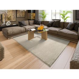 OCI DIE TEPPICHMARKE Teppich &raquo;NEW VILLA MELANGE, auch als L&auml;ufer und in Rund&laquo; rechteckig 20 mm H&ouml;he dichter Shaggy, melierte uni Farben, robuster 