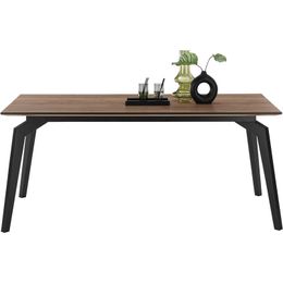 set one by Musterring Esstisch &raquo;Kent&laquo; Tischplatte Halifax tabak, schweizer Kante, 4-Fu&szlig;-Gestell in schwarz braun B/H/T: 180cm x 76cm x 90cm,mit 