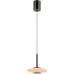 Neuhaus PURE LED Pendelleuchte &raquo;PURE Vitrum&laquo; LED-Board 1 Stk. Warmwei&szlig; Comfort Lift, dimmf&auml;hig &uuml;ber separaten Tronicdimmer braun 1, &Oslash; 22cm H: 80cm, 1 