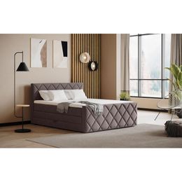 COTTA Boxspringbett &raquo;Tower inkl. Bettkasten, mit Keder in abgesetzter Farbe&laquo; in verschiedenen Breiten, H&auml;rtegraden und Farben erh&auml;ltlich 100% 