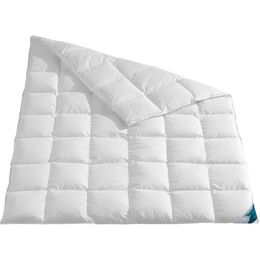 H&auml;ussling Daunenbettdecke &raquo;Kuscheltraum, 135x200,155x220 & weitere Gr&ouml;&szlig;en&laquo; normal F&uuml;llung 60Daunen40Federn 1 Stk. tlg. Hergestellt in Deutschland, Daunen der 