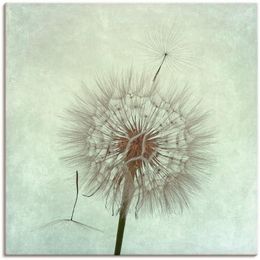 Artland Leinwandbild &raquo;Pusteblume II&laquo; Blumen 1 Stk. tlg. auf Holzrahmen gespannt grau Leinwand B/H/T: 70cm x 70cm, Leinwandbild Blumen quadratisch, 1 Stk.