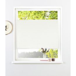 OTTO home Plissee &raquo;ZANNIE&laquo; Lichtschutz ohne Bohren verspannt mit feiner Linienstruktur, zeitlos, f&uuml;r Fenster & T&uuml;r - NEUHEIT! wei&szlig; Obermaterial: 100% 