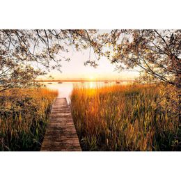 Komar Vliestapete &raquo;Digitaldruck Vlies - Lakeside - Gr&ouml;&szlig;e 400 x 260 cm&laquo; bedruckt glatt Wohnzimmer, Schlafzimmer bunt Vlies B/L: 400m x 260m, Rollen: 1
