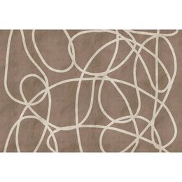 Livingwalls living walls Fototapete &raquo;Walls by Patel Serengeti&laquo; glatt Vlies, Wand braun Vlies B/L: 4m x 2,7m