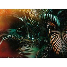 Livingwalls living walls Fototapete &raquo;Designwalls Jungle Colour&laquo; glatt Vlies, Wand, Schr&auml;ge, Decke gr&uuml;n Vlies B/L: 3,5m x 2,55m