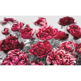 Komar Vliestapete &raquo;Digitaldruck Vlies - Temptation - Gr&ouml;&szlig;e 400 x 260 cm&laquo; bedruckt glatt Wohnzimmer, Schlafzimmer bunt Vlies B/L: 400m x 260m, Rollen: 1