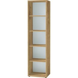 Germania Aktenregal &raquo;GW-Monteria&laquo; in 2 H&ouml;hen, F&auml;cher mit Ordnerh&ouml;he, Breite 50 cm, Made in Germany braun Holzwerkstoff B/H/T: 50cm x 195,8cm x 36,8cm,