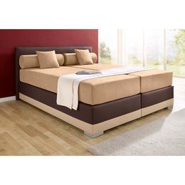 Maintal Boxspringbett &raquo;Lago&laquo; in 3 verschiedenen Matratzenarten, H2 oder H3 braun Bezug Kopteil und seitliche Unterbox wahlweise Microvelours aus 100% 