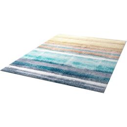 wash+dry by Kleen-Tex Teppich &raquo;Frerik&laquo; rechteckig 9 mm H&ouml;he rutschhemmend, In- und Outdoor geeignet, waschbar bunt Polyamid B : 110cm 1 Stk., 9mm, L: 