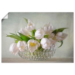 Artland Wandbild &raquo;Wei&szlig;e Tulpen&laquo; Blumen 1 Stk. tlg. als Leinwandbild, Poster in verschied. Gr&ouml;&szlig;en gr&uuml;n B/H/T: 90cm x 60cm, Poster Blumen Querformat, 1 Stk.