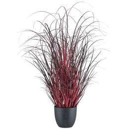 Creativ green Kunstgras &raquo;Grasbusch&laquo; mit Farbverlauf rot Kunststoff &Oslash;/H: 15cm x 62cm, 1 Stk.