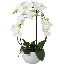 Creativ green Kunstpflanze &raquo;Phalaenopsis&laquo; wei&szlig; Keramik, Kunststoff B/H/L: 52cm, 1 Stk.
