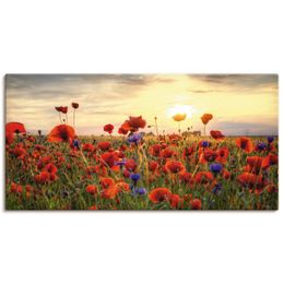 Artland Wandbild &raquo;Mohnblumen&laquo; Blumen 1 Stk. tlg. als Alubild, Leinwandbild, Poster in verschied. Gr&ouml;&szlig;en rot B/H/T: 60cm x 30cm, Leinwandbild Blumen Querformat
