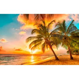 papermoon Fototapete &raquo;Barbados Palm Beach&laquo; matt bunt Vlies B/L: 2,5m x 1,8m