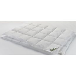 fj&ouml;dur fj&ouml;dur Daunenbettdecke &raquo;Fleur&laquo; normal F&uuml;llung 90% Daunen 10 % Federn 1 Stk. tlg. Bettdecken 135 x 200 cm und in vielen weiteren Gr&ouml;&szlig;en erh&auml;ltlich. 
