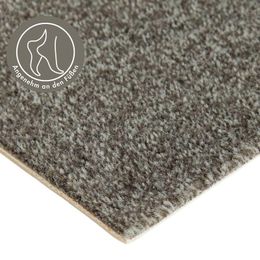 ANDIAMO Teppichboden &raquo;Catania, Velours, Gesamth&ouml;he 7,5 mm, Luxusklasse LC1&laquo; rechteckig meliert, Breite 400 cm oder 500 cm, strapazierf&auml;hig & pflegeleicht grau