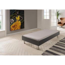 wimex Bett &raquo;Easy, gro&szlig;e Auswahl an Gr&ouml;&szlig;en und Farben, auch in Komforth&ouml;he&laquo; Made in Germany, ohne Kopfteil, ideal unter Dachschr&auml;gen oder Fenster grau 