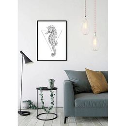 Komar Bild &raquo;Sea Horse White&laquo; Tiere 1 Stk. tlg. Wandbild zur Dekoration - ohne Rahmen silber Holz, Papier B/H/T: 30cm x 40cm, Tiere, 1 Stk.