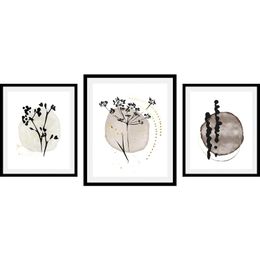 queence Bild &raquo;Set Hamara&laquo; Abstrakt Blumen Figuren Pflanzen Pflanzenbilder Schwarz-Wei&szlig; 1 Stk. tlg. gerahmt beige Acrylglas, Holz, Papier B/H/T: 30cm x