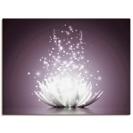 Artland Wandbild &raquo;Magie der Lotus-Blume&laquo; Blumen 1 Stk. tlg. als Leinwandbild, Poster in verschied. Gr&ouml;&szlig;en lila Leinwand B/H/T: 80cm x 60cm, Leinwandbild 