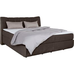 Home Affaire Boxspringbett &raquo;Oc&eacute;ane&laquo; Bodenfrei- wirkt freischwebend, verschiedene H&auml;rtegrade (auch H4) braun Polyester Velour VELVET Polyester Topper 