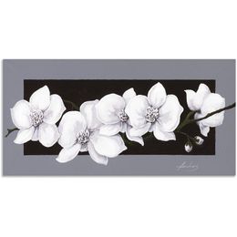Artland Wandbild &raquo;Wei&szlig;e Orchideen auf grau&laquo; Blumen 1 Stk. tlg. als Alubild, Leinwandbild, Poster in verschied. Gr&ouml;&szlig;en schwarz B/H/T: 150cm x 75cm, Alu-Dibond-