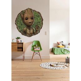 Komar Wandtattoo &raquo;selbstklebendes Vlies - Groot Little Twig - Gr&ouml;&szlig;e 125 x 125 cm&laquo; rund und selbstklebend bunt Folie Blumen Disney Wald