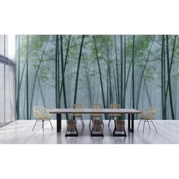 Livingwalls living walls Fototapete &raquo;Walls by Patel In The Bamboo&laquo; glatt Vlies, Wand blau Vlies B/L: 4m x 2,7m