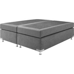 Westfalia Schlafkomfort Boxspringbett &raquo;Holland&laquo; ohne Kopfteil, frei im Raum stellbar grau Microvelours (100% Polyester) Microvelours Kaltschaum-Topper, Liegefl&auml;che B/L: 200cm