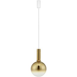 NOVA LUCE Pendelleuchte &raquo;NOSTOS&laquo; LED-Modul 1 Stk. Warmwei&szlig; 1, &Oslash; 25cm H: 170cm, 1 Stk.