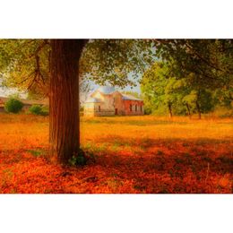 papermoon Fototapete &raquo;Herbstlandschaft&laquo; bunt Vlies B/L: 1,5m x 1,11m, Bahnen: 7 Stk.