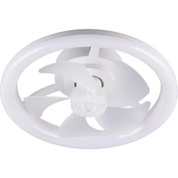 REALITY LEUCHTEN LED Deckenleuchte &raquo;PAJALA mit Ventilator, Deckenventilator mit Licht, 22W LED CCT &Oslash; 40cm&laquo; LED-Board 1 Stk. Farbwechsler warmwei&szlig; - 