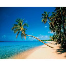 papermoon Fototapete &raquo;Leaning Palms&laquo; glatt bunt Vlies B/L: 3,5m x 2,6m, Bahnen: 7 Stk.