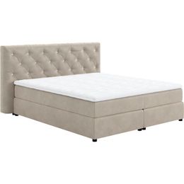 COTTA Boxspringbett &raquo;Castle&laquo; mit Strasssteinen im Kopfteil, inkl. Topper lila 100% Polyester (PES) Velour VELVET, Liegefl&auml;che B/L: 160cm x 200cm, 