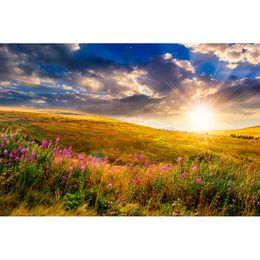 papermoon Fototapete &raquo;Wild Flowers Mountain Sunset&laquo; glatt bunt Vlies B/L: 3,5m x 2,6m, Bahnen: 7 Stk.