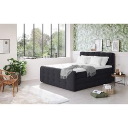 COTTA Boxspringbett &raquo;Fort mit Bettkasten, inkl. Topper&laquo; erh&auml;ltlich in verschiedenen Breiten (160cm, 180cm & 200cm) schwarz 100% POLYESTER (PES) 