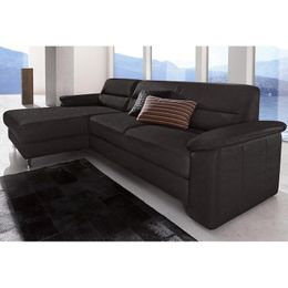 Sit & More sit&more Ecksofa &raquo;Ascara L-Form&laquo; inklusive Boxspring/Federkern-Polsterung, wahlweise mit Schlaffunktion schwarz NaturLEDER (echtes Rindsleder), Korpus