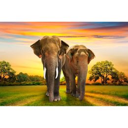 papermoon Fototapete &raquo;Elephants Family&laquo; glatt bunt Vlies B/L: 2,5m x 1,86m, Bahnen: 5 Stk.