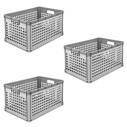 keeeper Transportbeh&auml;lter &raquo;Transportkorb robert, 3er Set, 64 L, 60 x 40 x 32 cm&laquo; 40 cm breit 32 cm hoch 60 cm lang Set, 3 Stk. tlg. s&auml;ure- und 