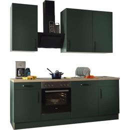 Wiho-K&uuml;chen wiho K&uuml;chen K&uuml;chenzeile &raquo;"Simi", wahlweise mit E-Ger&auml;ten, mit verstellbaren F&uuml;&szlig;en&laquo; Soft-Close-Funktion in Schubk&auml;sten und Ausz&uuml;gen, Breite 220 cm gr&uuml;n