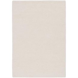 Theko Wollteppich &raquo;Royal Berber Uni&laquo; rechteckig 18 mm H&ouml;he Berber Optik, reine Wolle, ideal im Wohnzimmer & Schlafzimmer beige Schurwolle B : 290cm 1 