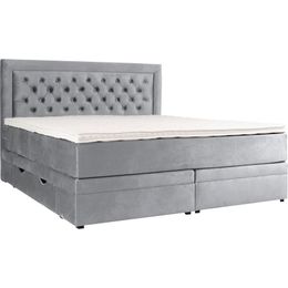 Home Affaire Boxspringbett &raquo;Julien&laquo; mit Taschenfederkernmatratze grau 100% Polyester Samtvelours 160x200, Liegefl&auml;che B/L: 160cm x 200cm, H3, Taschen-