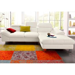COTTA Ecksofa &raquo;Driver L-Form, B: 268 cm&laquo; Kopfteilverstellung, optional Schlaffunktion & Bettkasten wei&szlig; LEDER BEEFY (ein abgedecktes Spalt-Rindsleder)