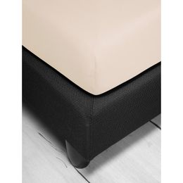 Irisette Spannbettlaken &raquo;Jupiter 8&laquo; aus Baumwolle, f&uuml;r Matratzen bis 25 cm H&ouml;he, Bettlaken, Spannbetttuch beige Mako-Jersey, Obermaterial: 100% Baumwolle B/L: 