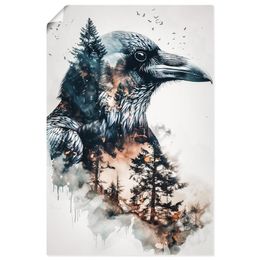Artland Wandbild &raquo;Rabe&laquo; Vogelbilder 1 Stk. tlg. als Alubild, Leinwandbild, Poster, Wandaufkleber in verschied. Gr&ouml;&szlig;en bunt Papier B/H/T: 60cm x 90cm, Poster 