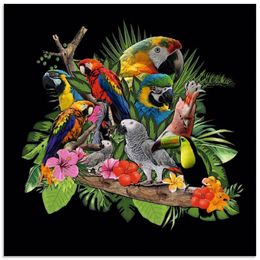 Artland Glasbild &raquo;Papageien Graupapagei Kakadu Dschungel&laquo; V&ouml;gel 1 Stk. tlg. in verschiedenen Gr&ouml;&szlig;en bunt B/H/T: 20cm x 20cm, Glasbild V&ouml;gel quadratisch, 1 Stk